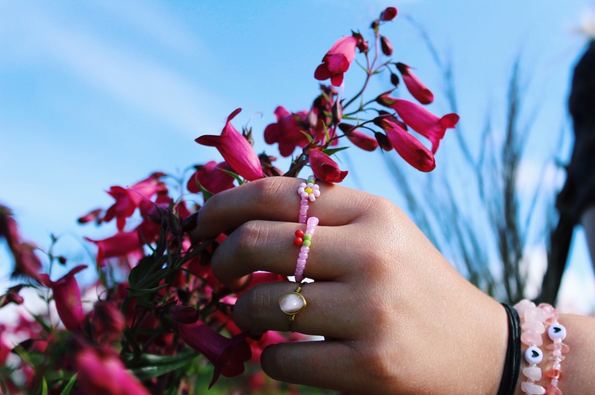 Rings – spudstyle